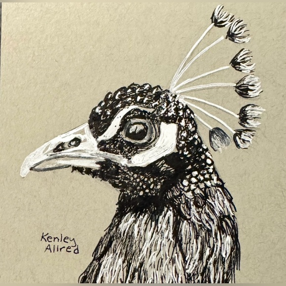 Handmade | Art | Original Art Peacock Ink Drawing On Gray Toned Paper ...